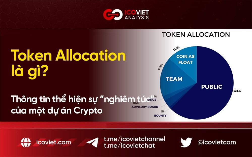 Token Allocation là gì? Thông tin thể hiện sự Token Allocation là gì? Thông tin thể hiện sự